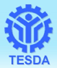 Tesda to launch online tech-voc training program | Inquirer Technology
