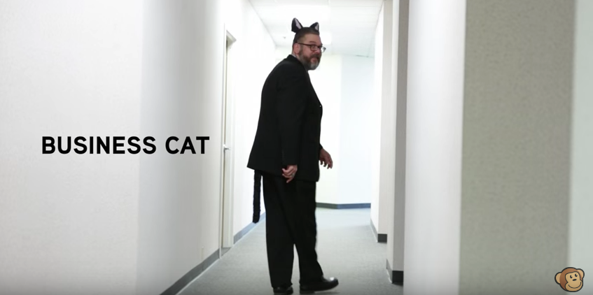 WATCH: US retailer launches electronic cat tail, ears | Inquirer Technology