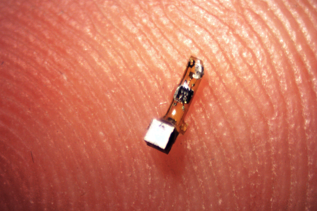 Grain-sized implant could one day control prosthetic body parts ...