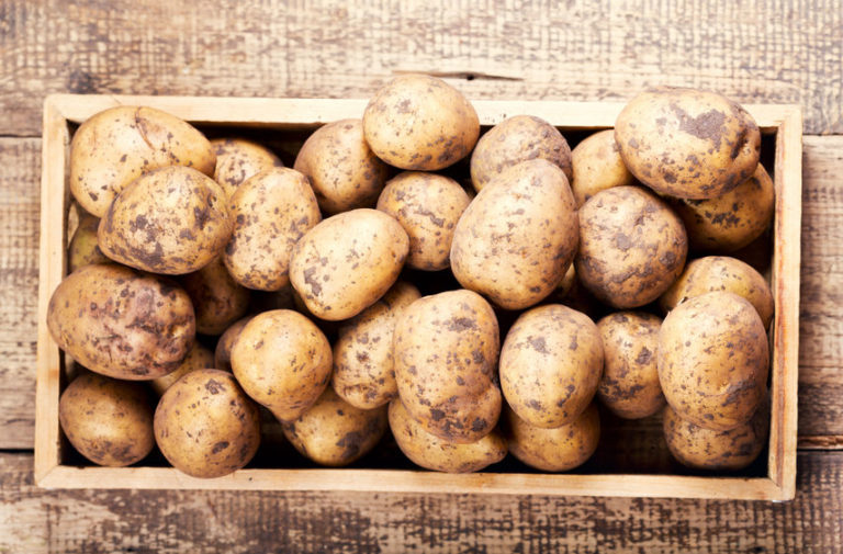 Potatoes in space: Chinese scientists to grow crops on surface of the ...