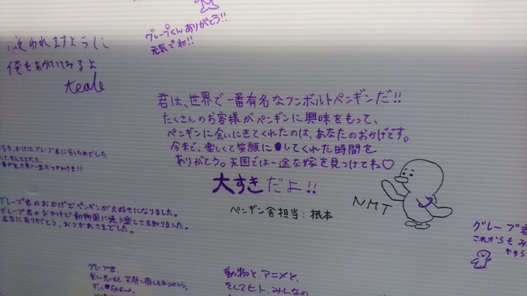 Grape-kun, the anime girl-loving penguin, dies; fans mourn loss of a ...