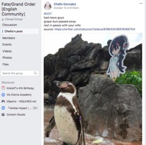 Grape-kun, the anime girl-loving penguin, dies; fans mourn loss of a ...