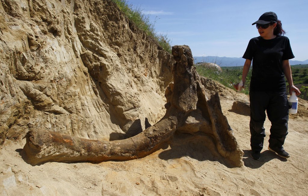 Macedonia: 8 million-year-old elephant-like remains found | Inquirer ...