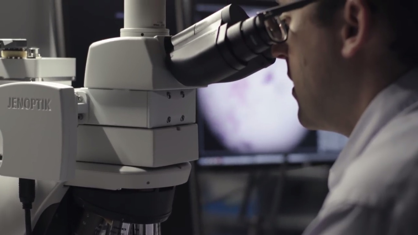 WATCH: Google builds AI-powered AR microscope for faster cancer ...