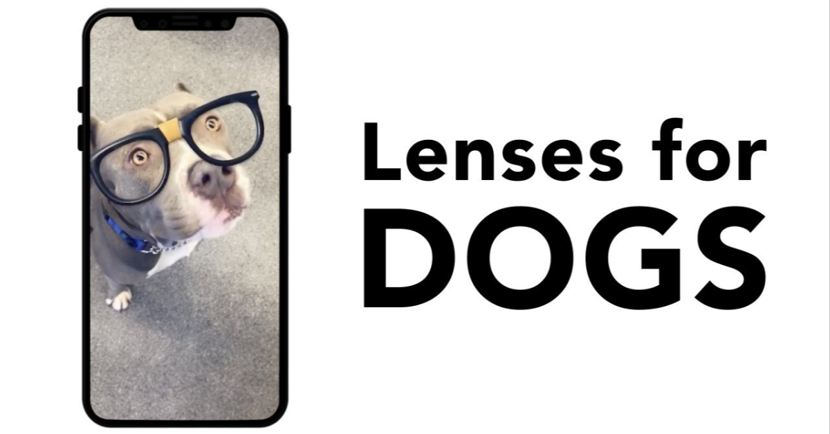 Snapchat releases filters specially made for dogs | Inquirer Technology
