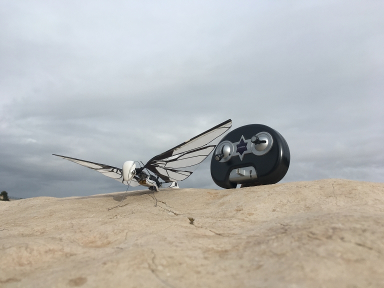 MetaFly, the drone that flies like a butterfly | Inquirer Technology
