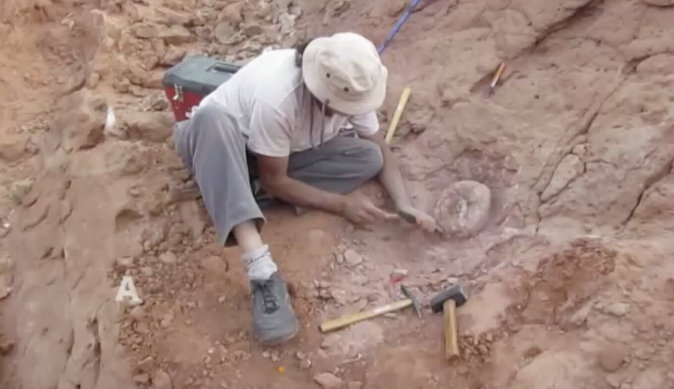Fossil of dinosaur with hard head and tiny arms found in Argentina ...
