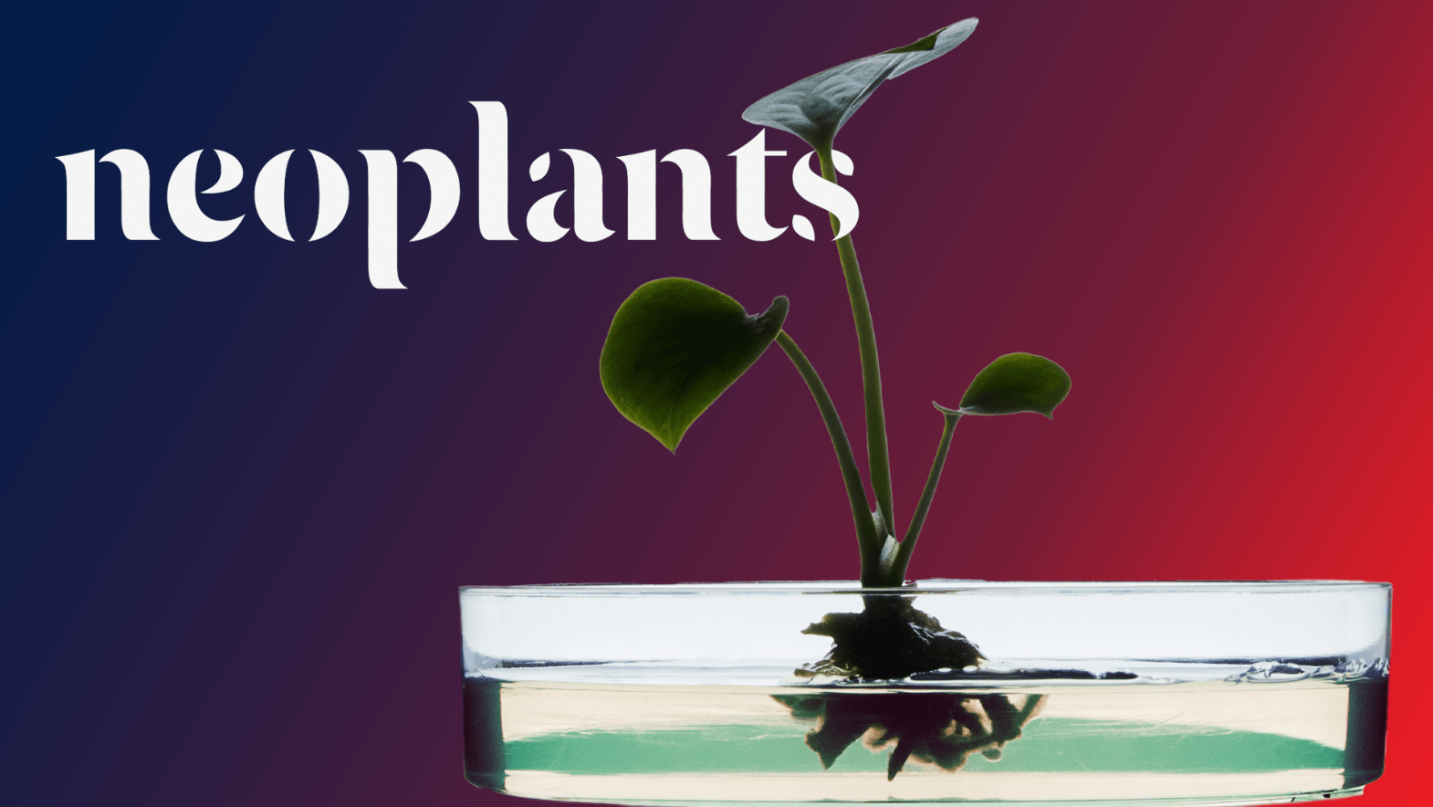Neoplants Launched Genetically Altered Flora | Inquirer Technology