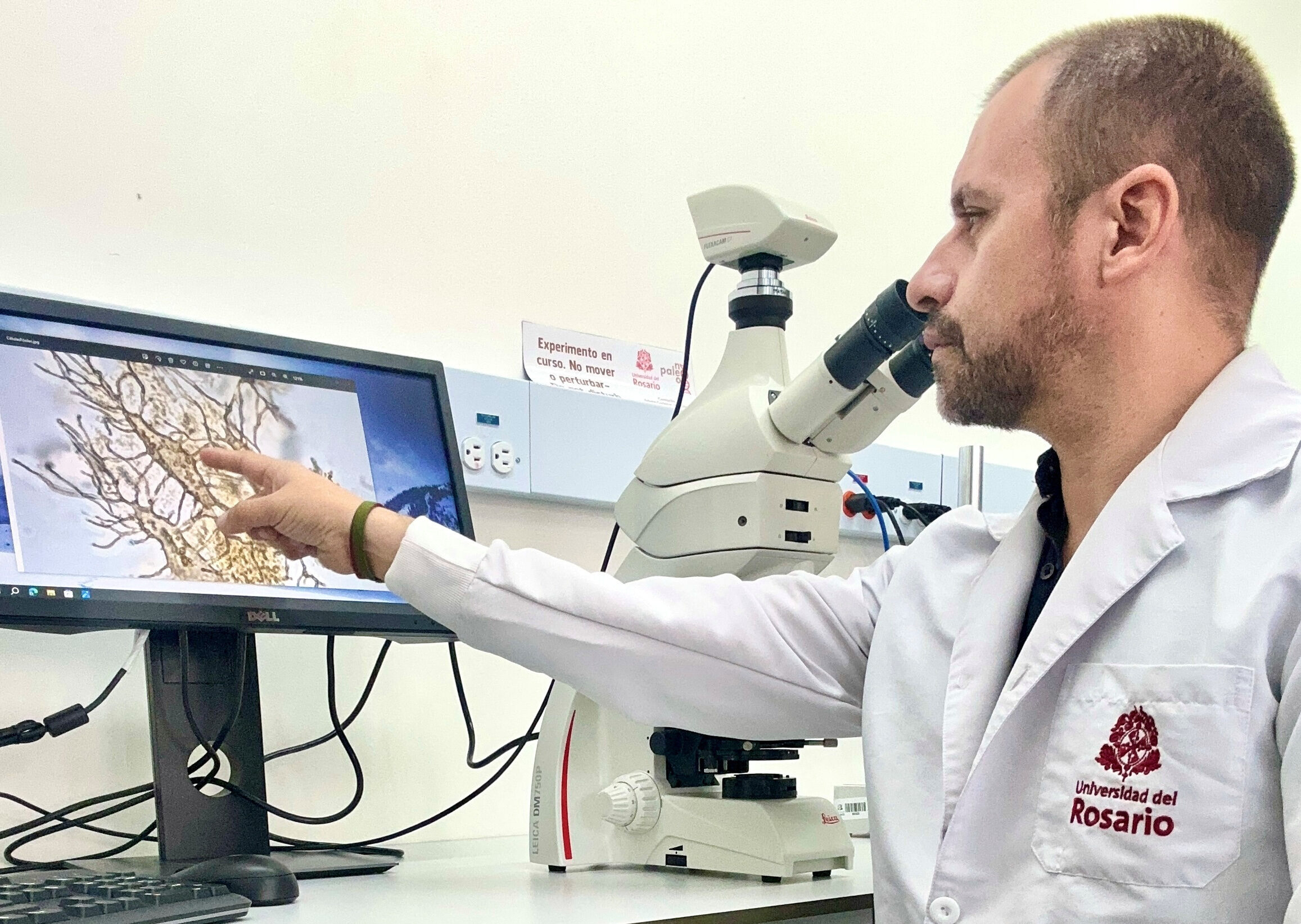 DNA remnants found in fossil of 6 million year old turtle | Inquirer ...