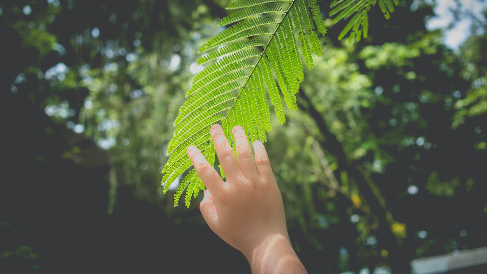 Scientists discover new sense of touch | Inquirer Technology