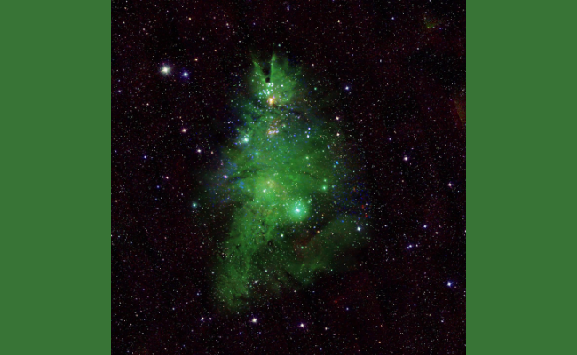 NASA finds ‘Christmas Tree Cluster’ in space | Inquirer Technology