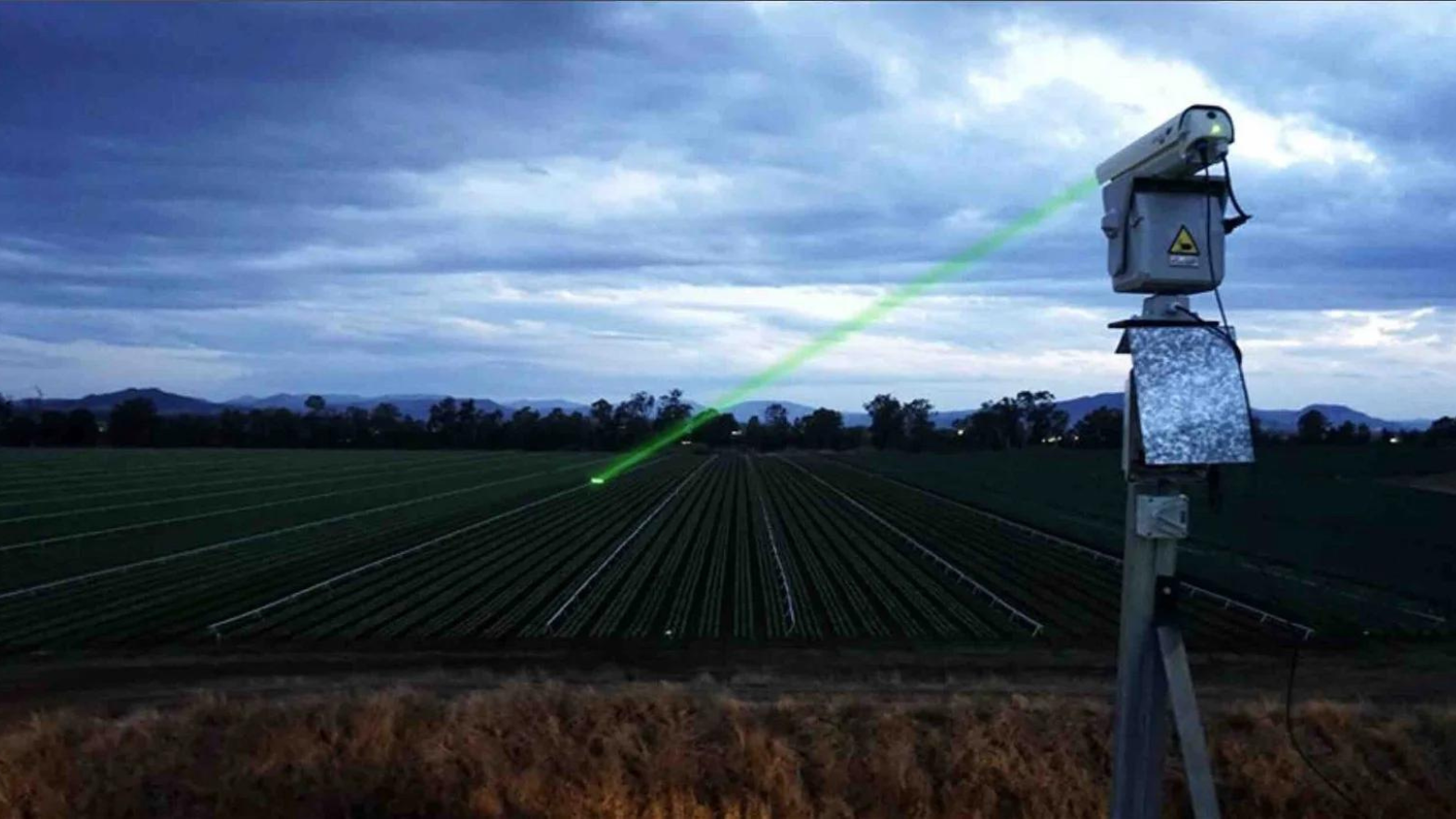 Laser scarecrows keep birds away from crops | Inquirer Technology