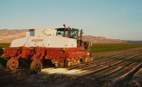 Laser scarecrows keep birds away from crops | Inquirer Technology