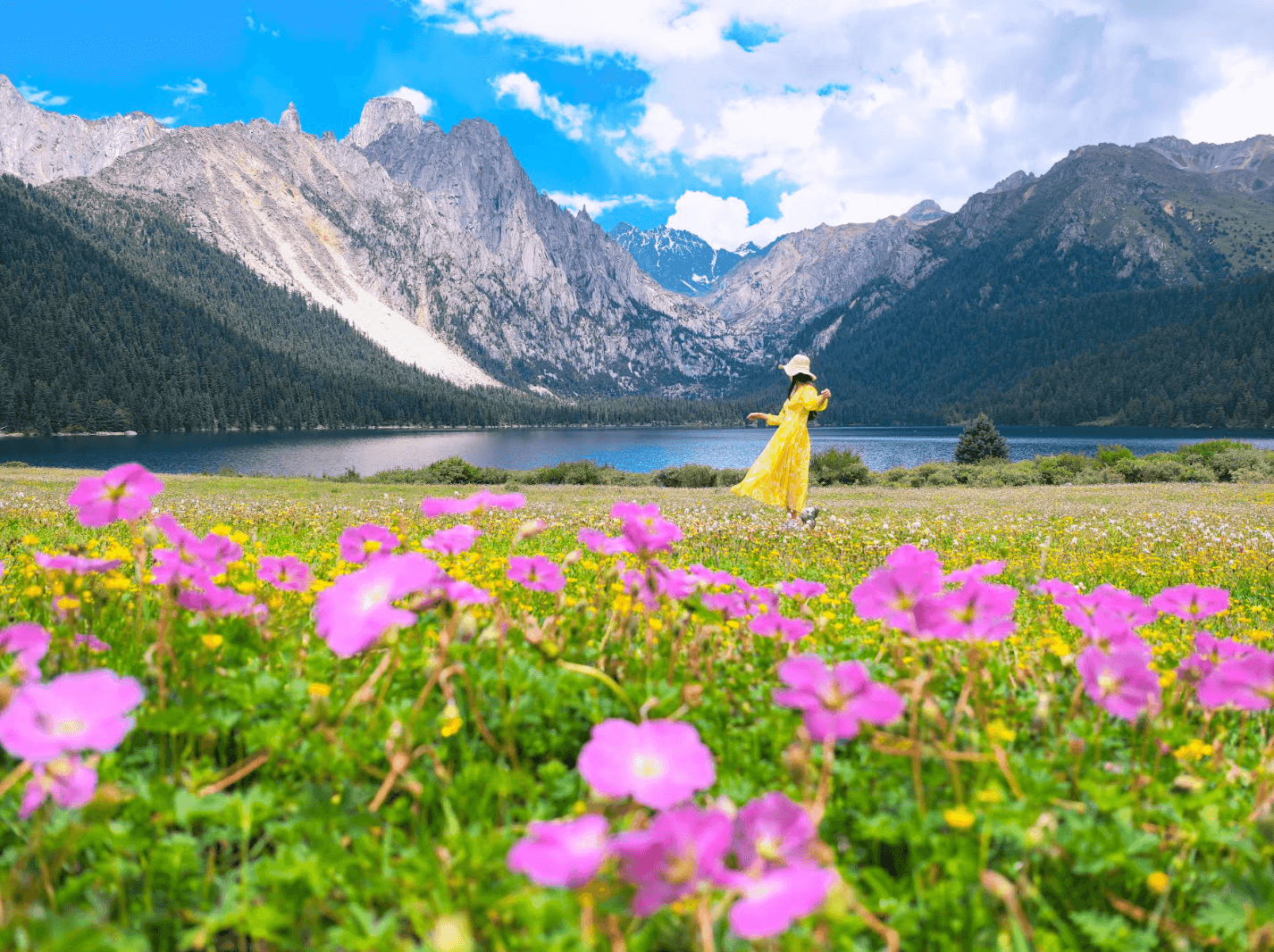 Next-level photography meets elegance in the Ultra Chroma Imaging and ...